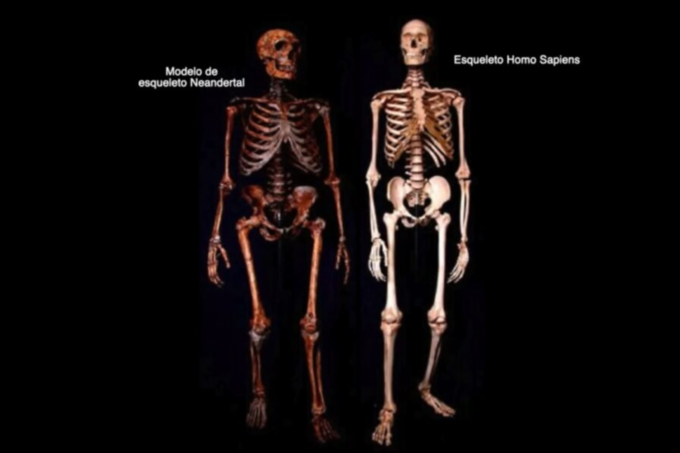 Mistérios da nossa evolução: encontros entre Homo sapiens e neandertais ...